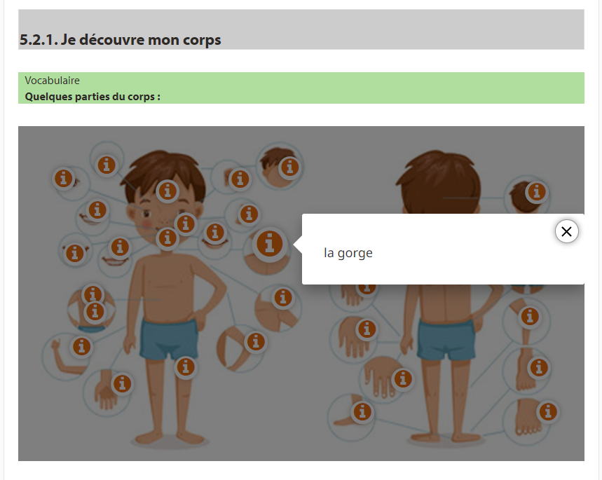 Lernova in de studie